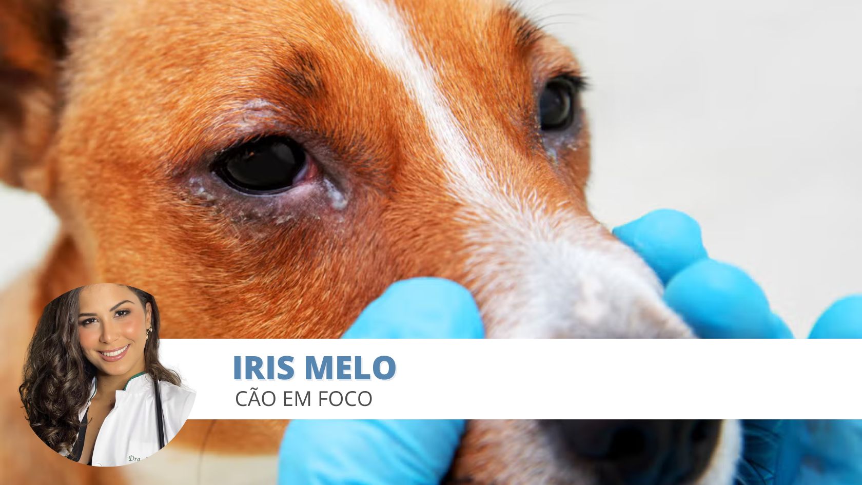 Iris Melo Cão em Foco - Portal Tempo Novo