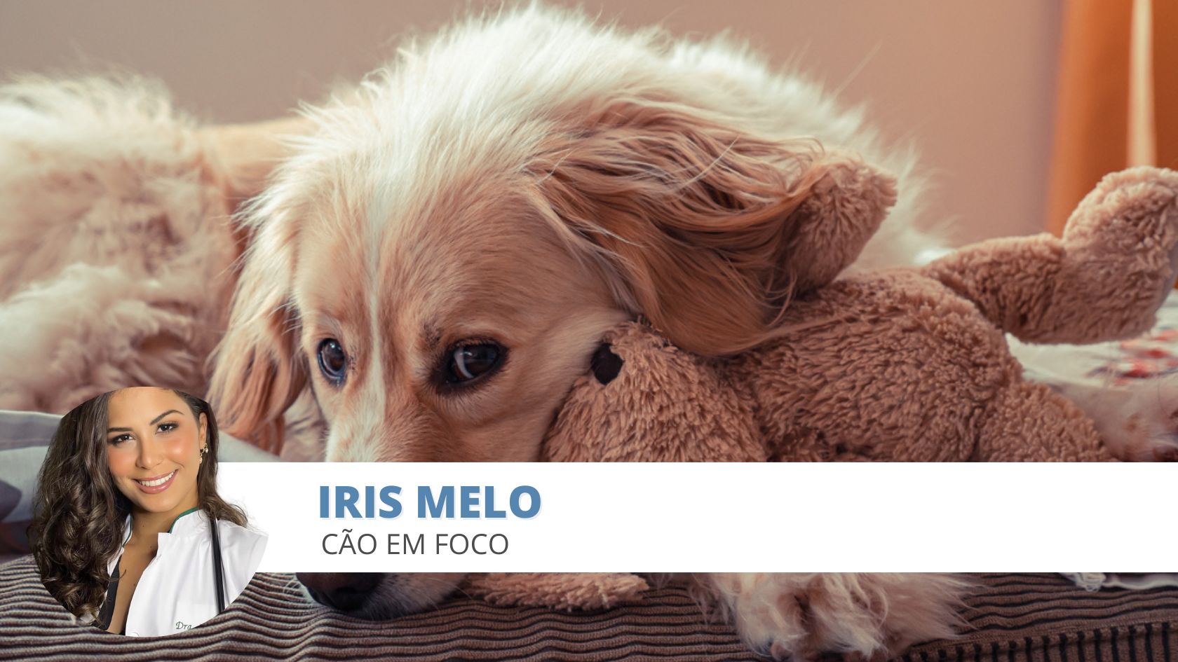 Iris Melo Cão em Foco - Portal Tempo Novo