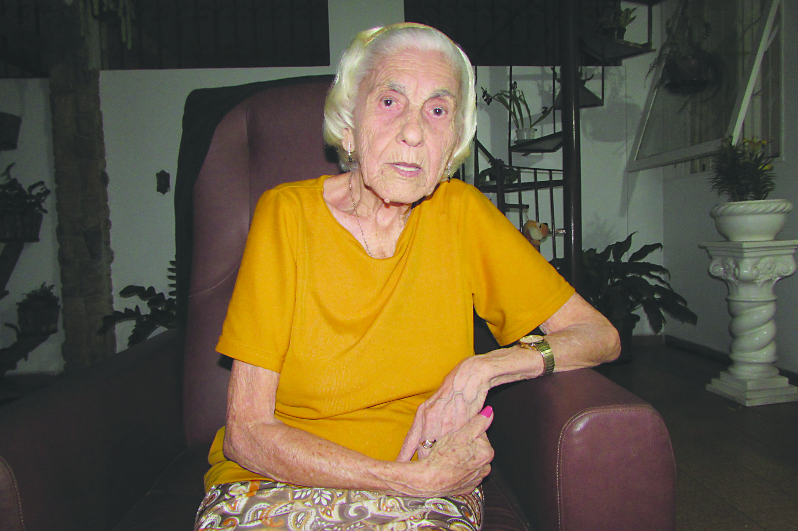 evany - Portal Tempo Novo